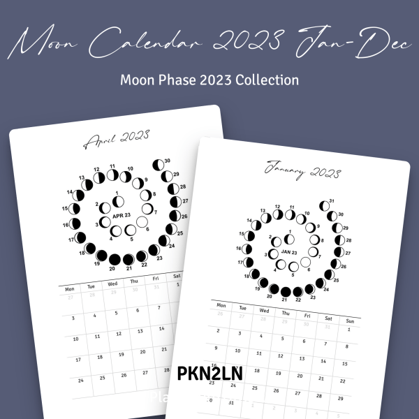 Home [blog.planifypro.com]