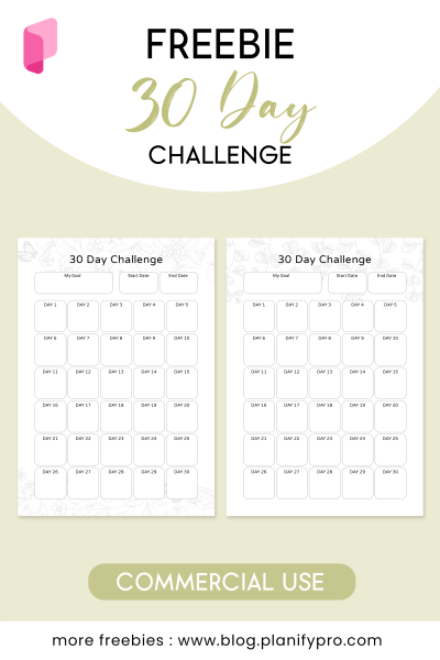 Free Planner - Freebie 30 Day Challenge