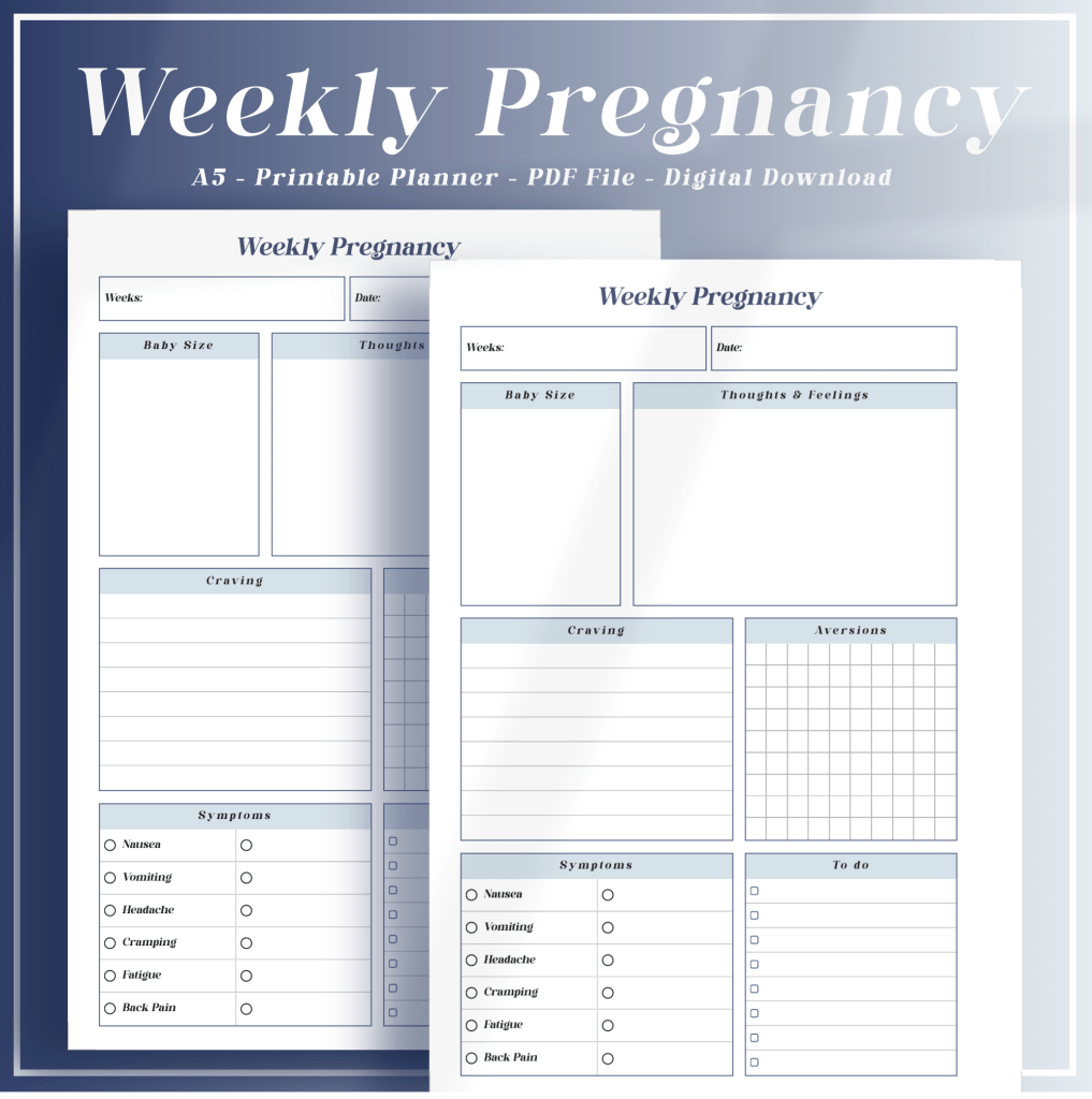 Customizable Planner Templates on Planify Pro